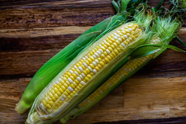 Natural Sweet F1 Corn | Super Cheap Vegetable Seeds | Free Shipping