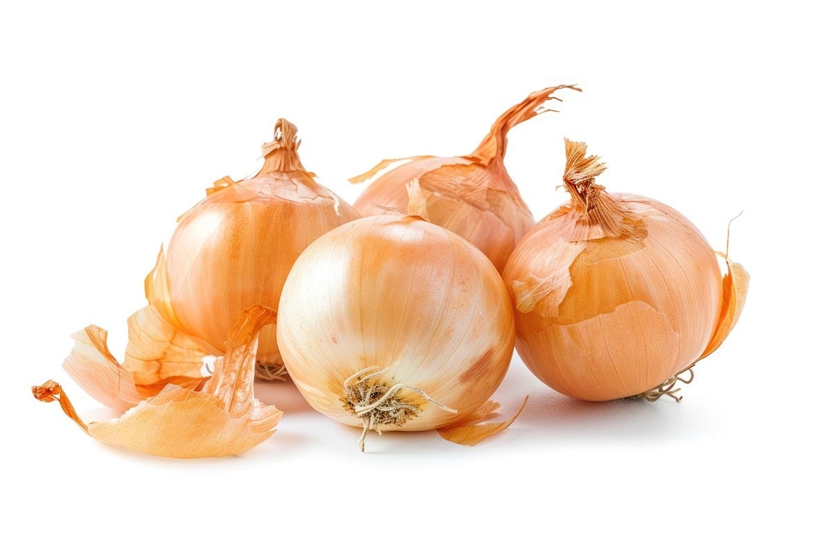 Candy F1 Onion Seed | Super Cheap Vegetable Seeds | Free Shipping